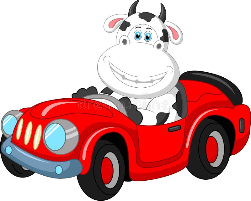 Cartoon cow driving a car stock vector. Illustration of livestock ... Cartoon cow driving a car stock vector. Illustration of livestock ...