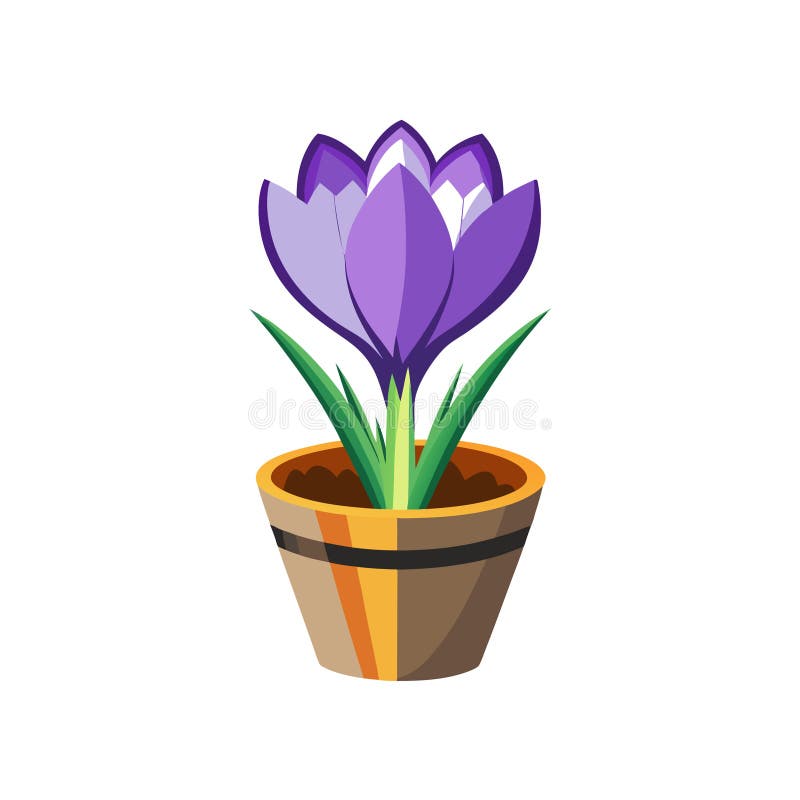 Cartoon Crocus Flower in a Pot Illustration Stock Illustration ...