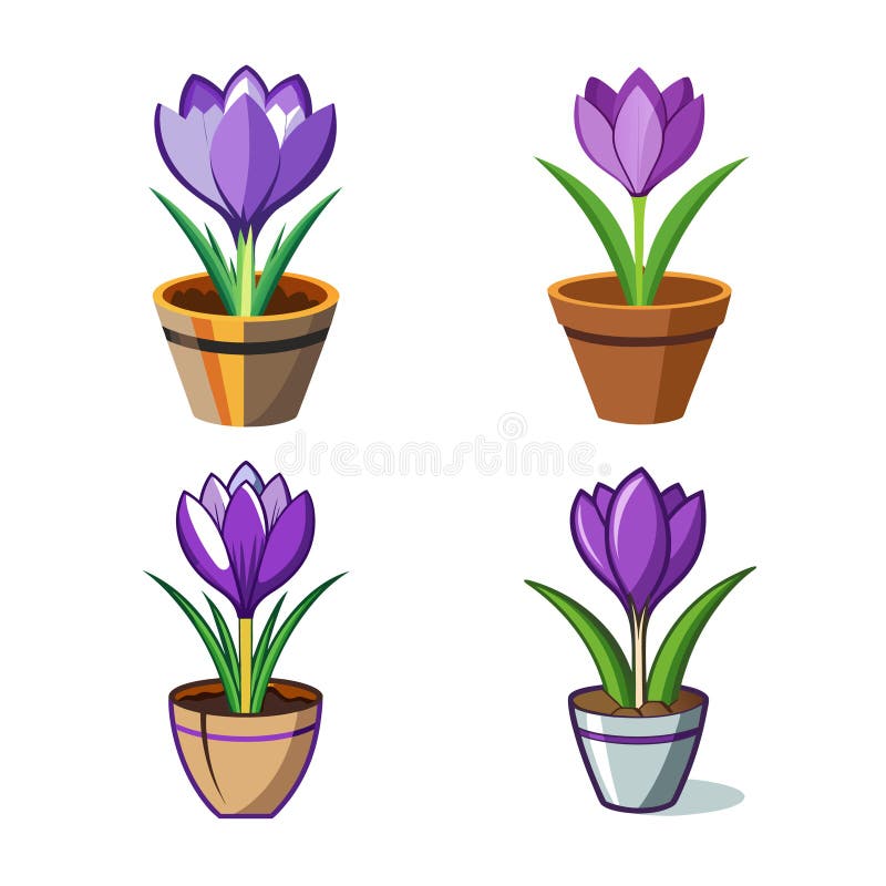 Cartoon Crocus Flower in a Pot Illustration Stock Vector - Illustration ...