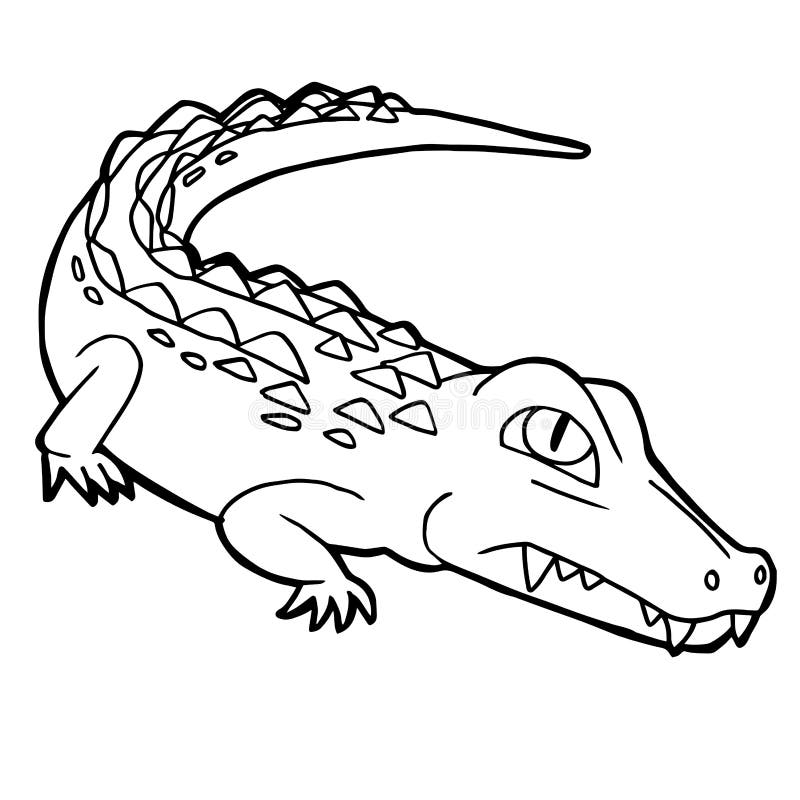 Cartoon Cute Crocodile Coloring Page Vector Stock Vector - Illustration ...