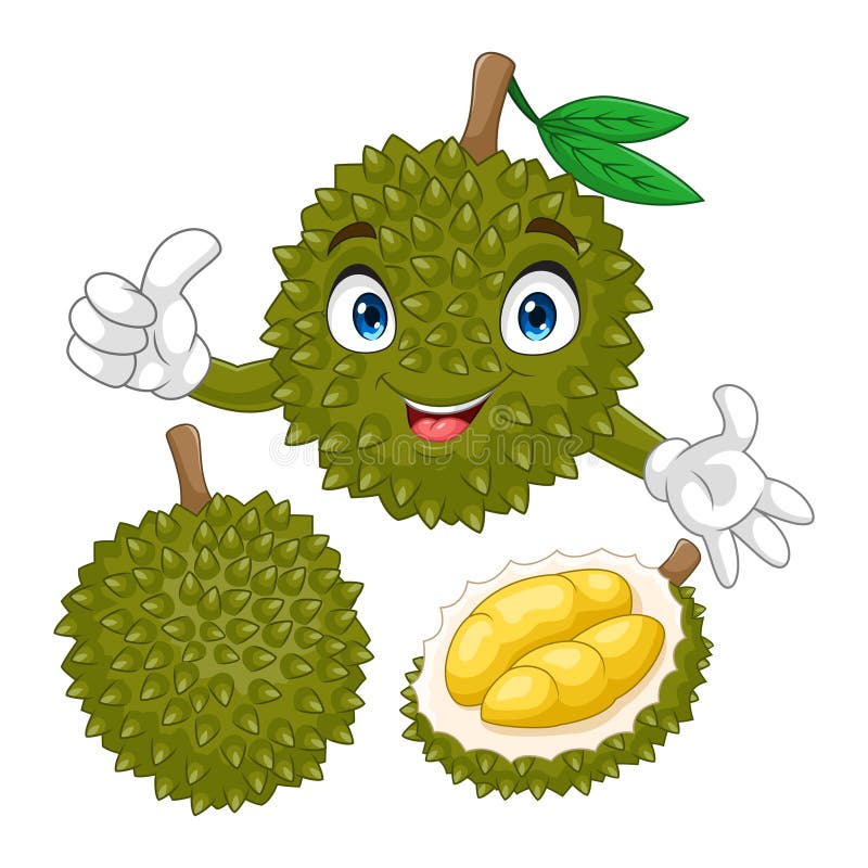 Cartoon Cute Durian Fruit Giving Thumbs Up Stock Vector - Illustration ...