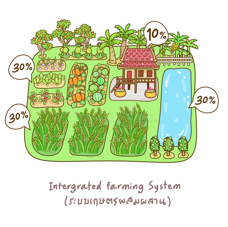 Integrated Farming System Vector on Background. Stock Illustration ...