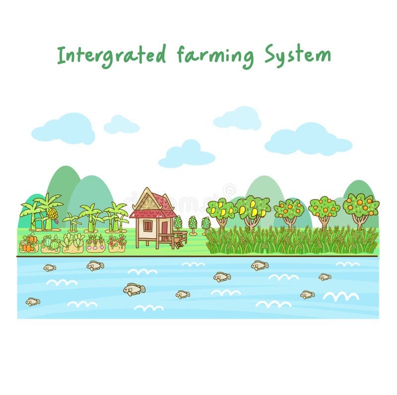 Integrated Farming System Vector on Background. Stock Illustration ...