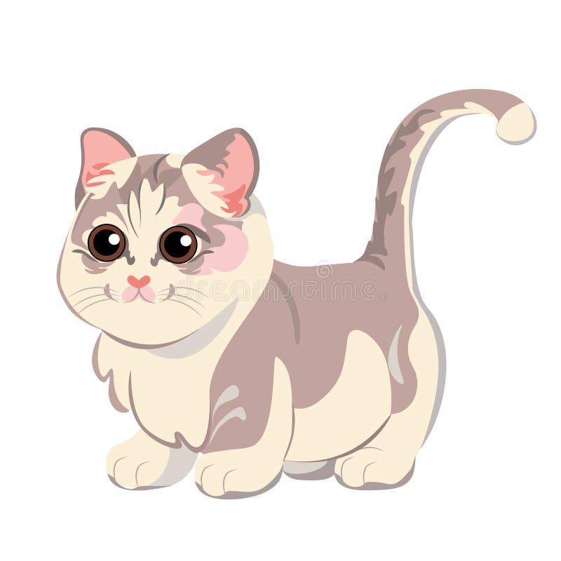 Cartoon Cute Fluffy Cat Illustration Isolated Stock Illustration ...