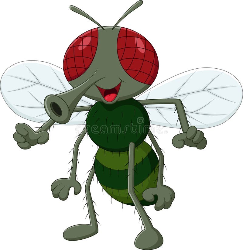 Bug-Eyed Fly Cartoon stock vector. Illustration of winged - 21739756