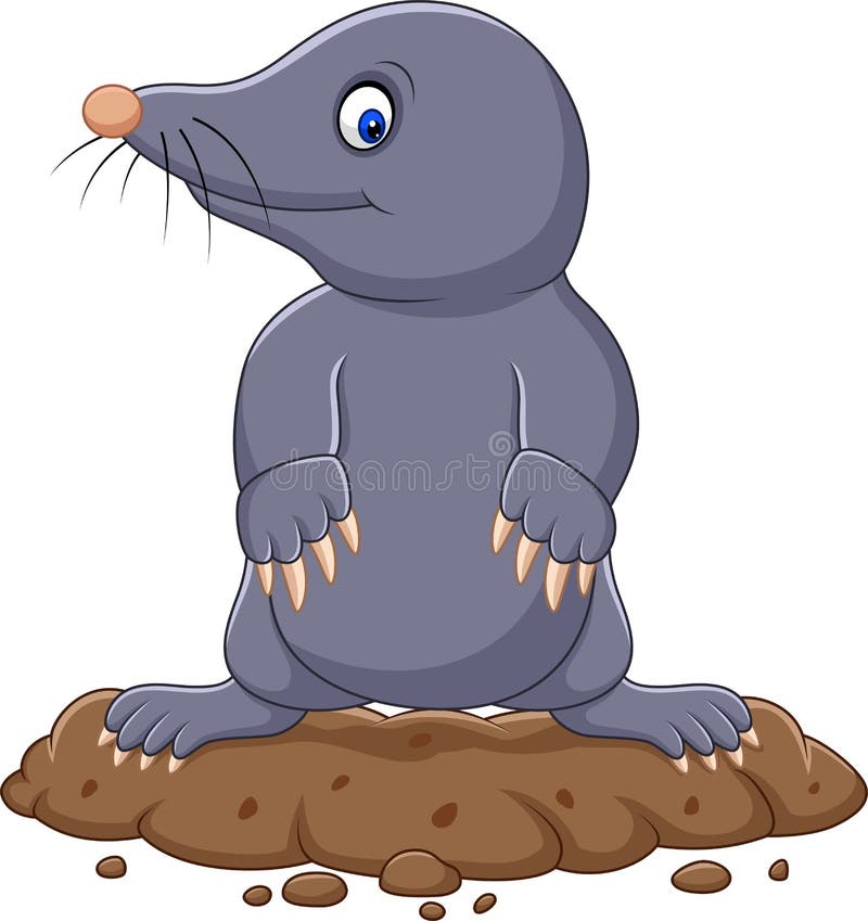 Cartoon Mole Stock Illustrations – 2,626 Cartoon Mole Stock Illustrations, Vectors & Clipart ...
