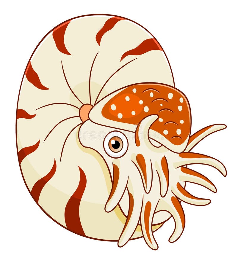 Cartoon cute nautilus stock vector. Illustration of vector - 93793795