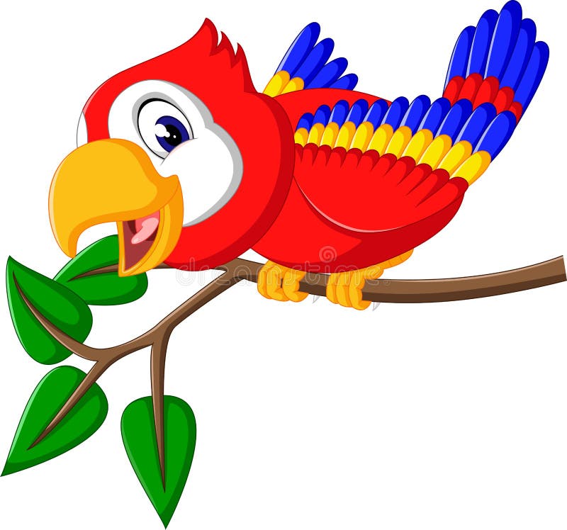 Cartoon cute parrot stock vector. Illustration of bird - 63855363