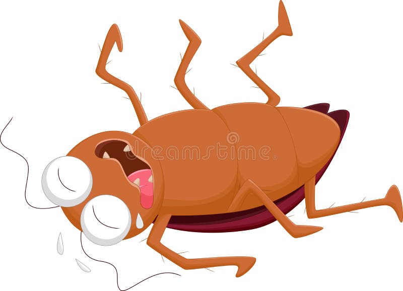 Cartoon dead cockroach stock vector. Illustration of insect - 70069605