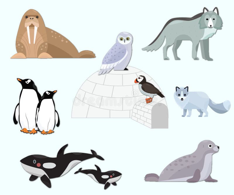 Cartoon Different Animals Antarctica Stock Vector - Illustration of ...