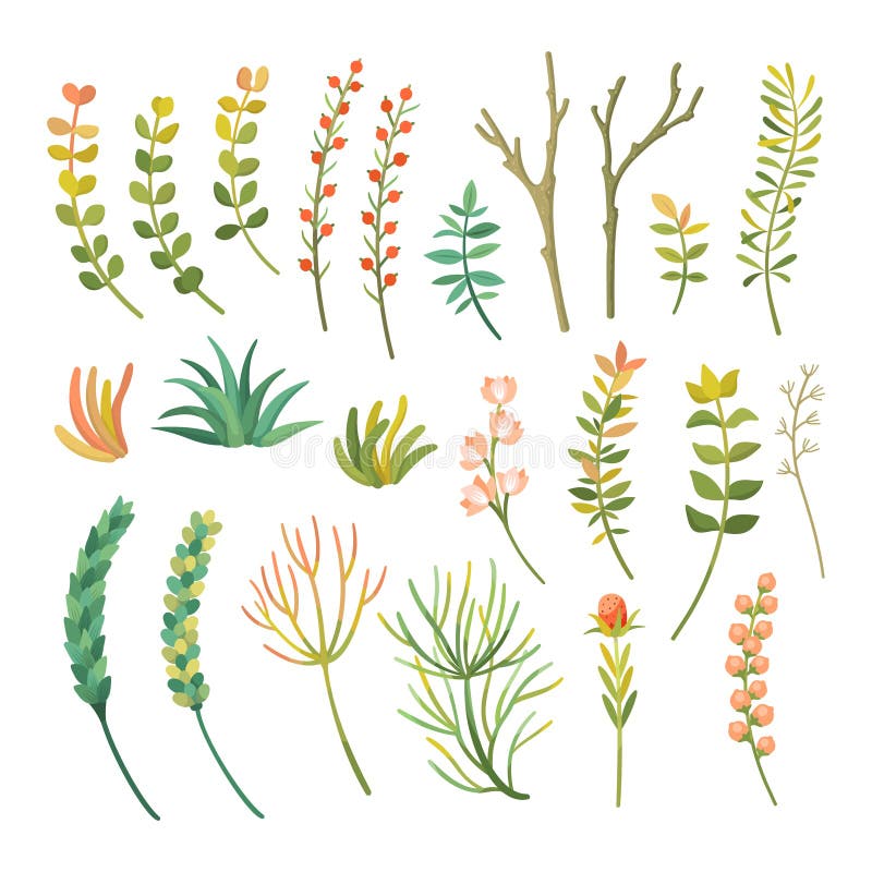 Cartoon Different Types of Plants Vector Set Stock Vector ...
