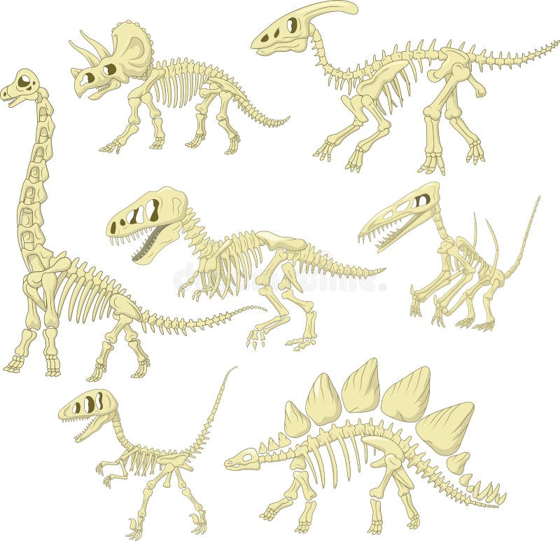 Lizard skeleton 2 stock illustration. Illustration of bone - 1024804