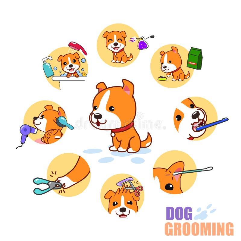 Cartoon Dog Grooming Icons Vector Illustration Stock Vector ...