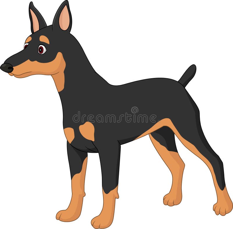 Cartoon Dog Miniature Pincher Stock Vector - Illustration of breed ...