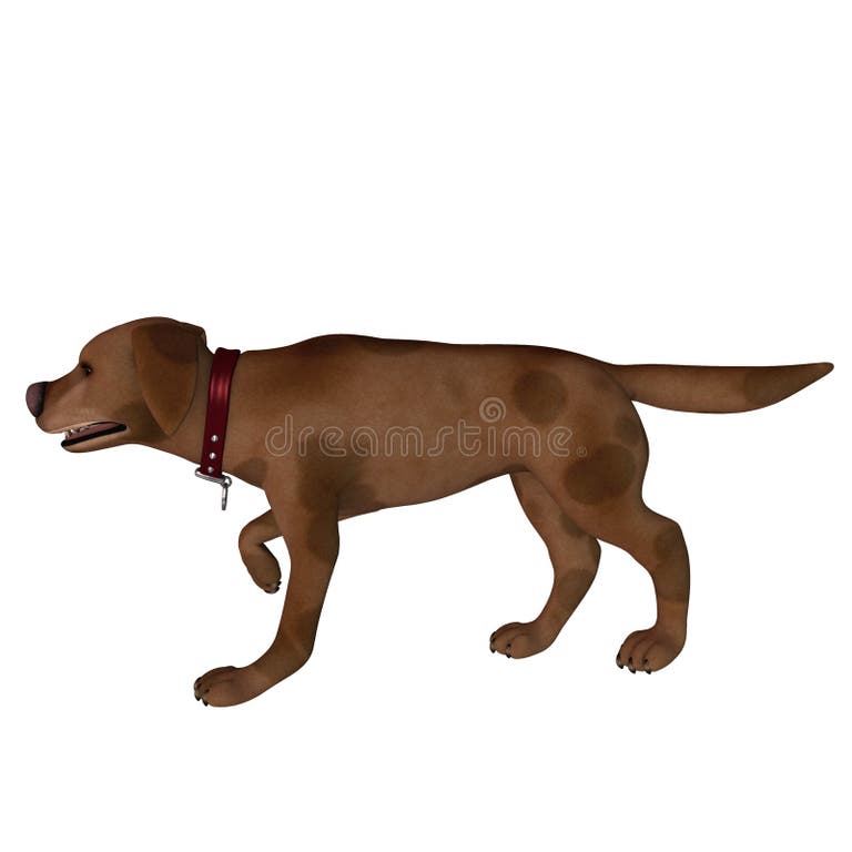 Cartoon Dog - Pointing Pose Stock Illustration - Illustration of floppy ...