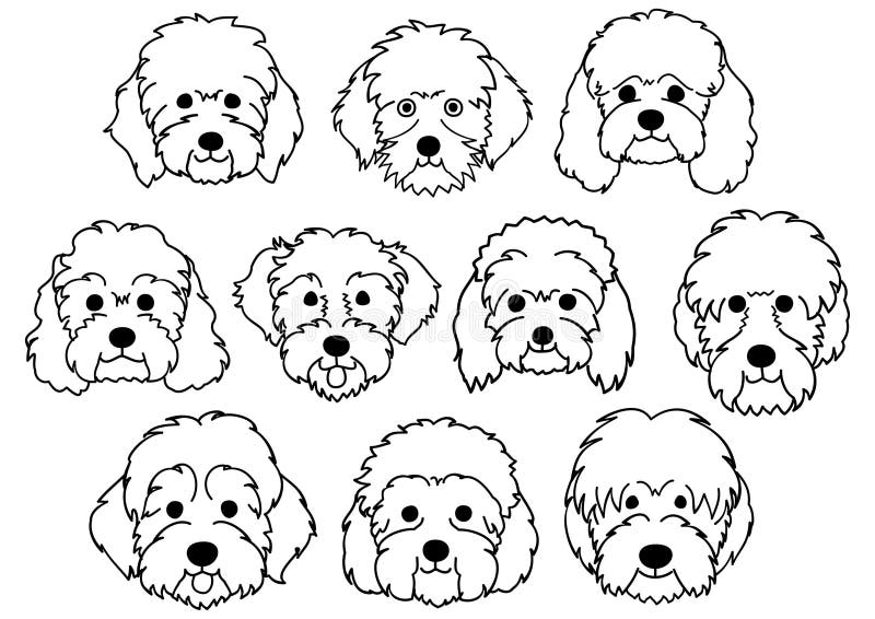 Cockapoo Dog Stock Illustrations – 668 Cockapoo Dog Stock Illustrations ...