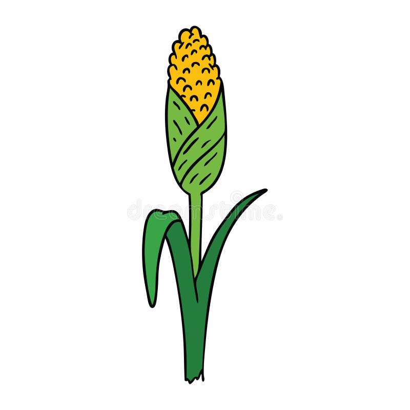 Cartoon Doodle of Fresh Corn on the Cob Stock Vector - Illustration of ...