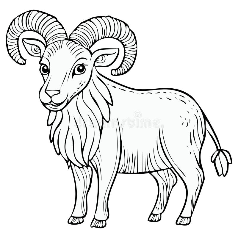 Cartoon Drawing of Ram with Large Curly Horns, Standing Side View Stock ...