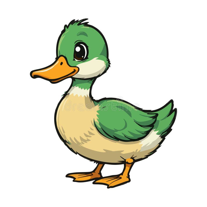 Cartoon Duck Vector Illustration Clean Background White Stock Photos ...