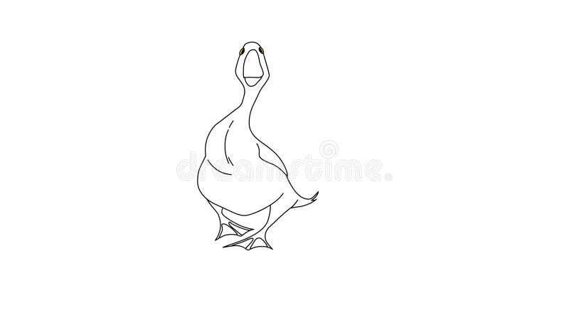 Duck Cartoon 2D Animation on Green Screen Stock Video - Video of farm ...