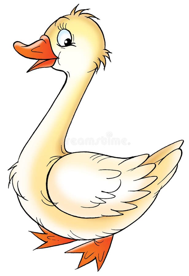 Cartoon duckling stock illustration. Illustration of duck - 1566401