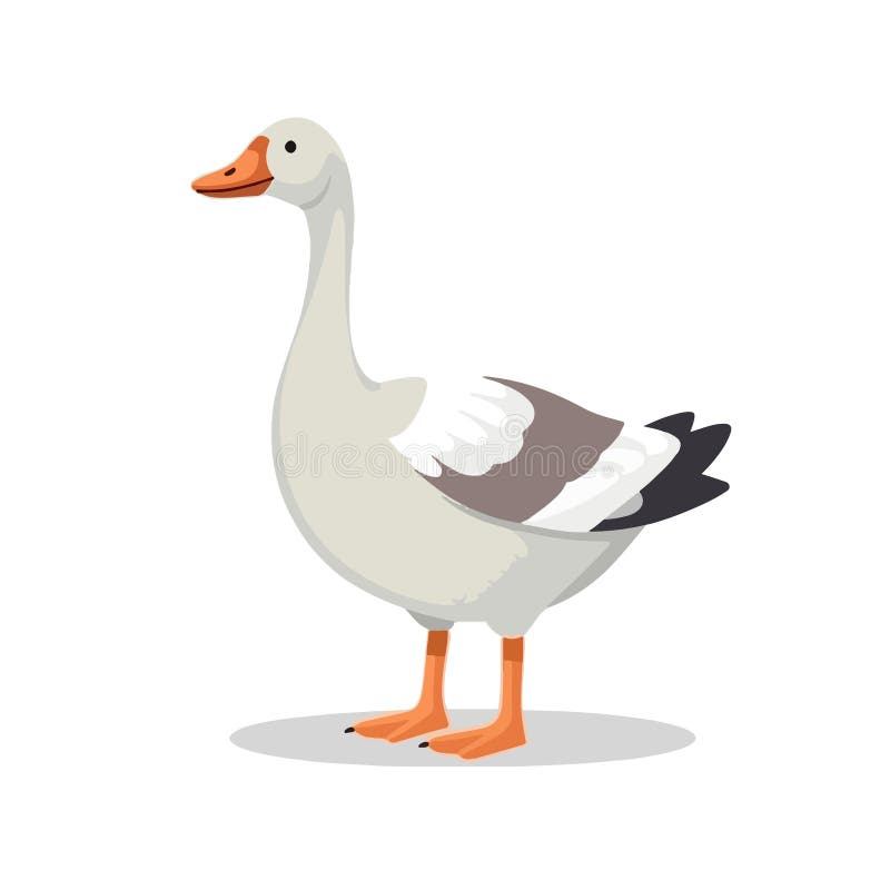 Cartoon Element Book Goose on White Background Stock Vector ...