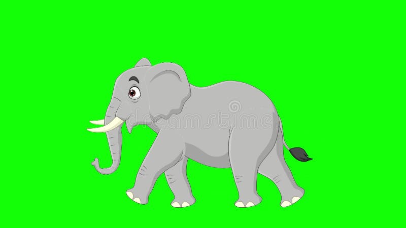 Cartoon Elephant Walking Animation on the Green Screen Background Stock ...
