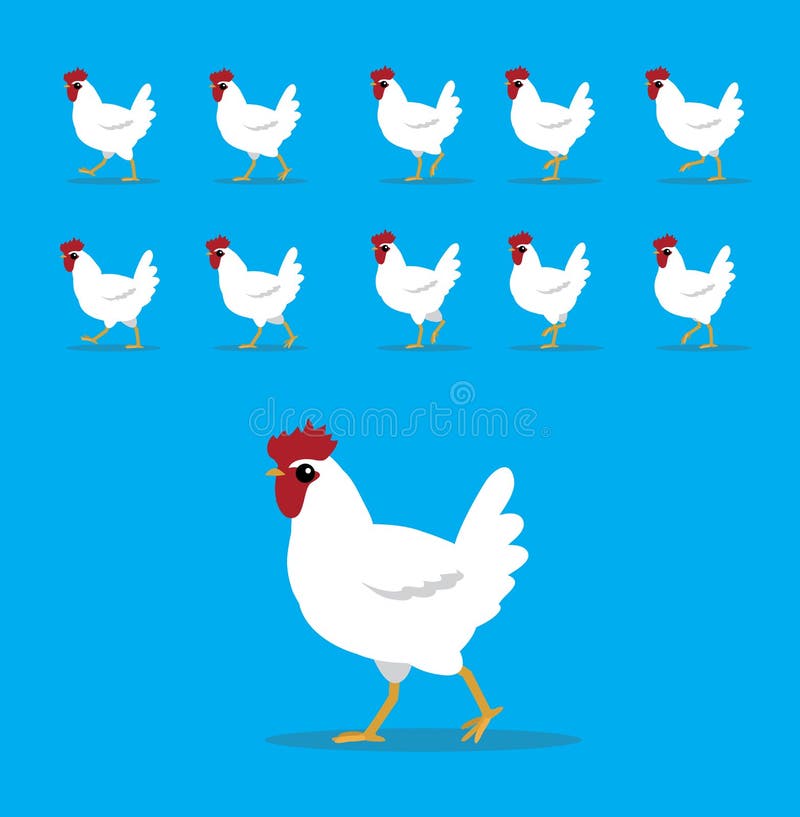 Animal Animation Sequence Poultry White Chicken Cartoon Vector Stock ...