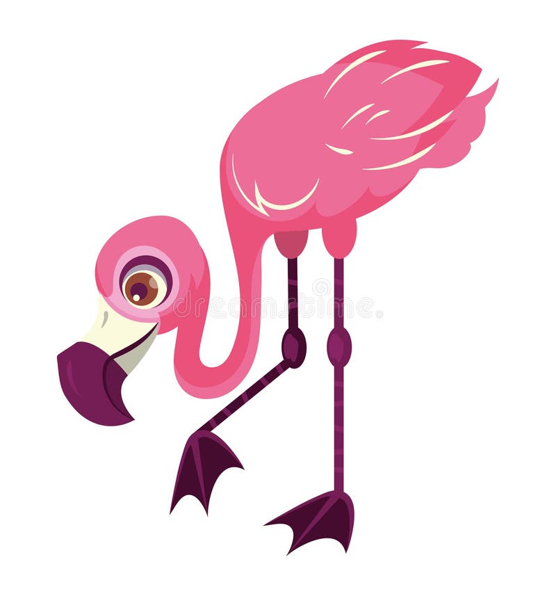 Cartoon Exotic Flemish Bird Stock Illustration - Illustration of animal ...