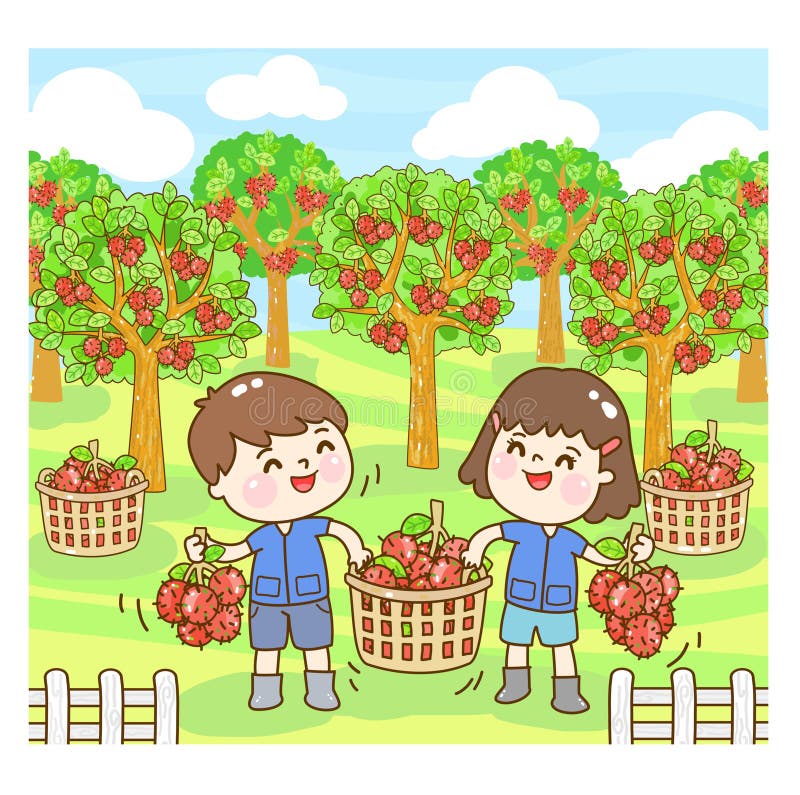 Cartoon Farmer Have Rambutan Character. Stock Illustration ...