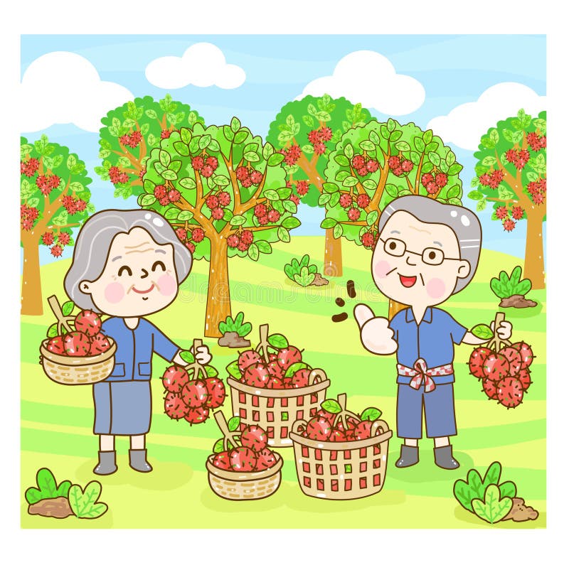 Cartoon Farmer Have Rambutan Character. Stock Illustration ...