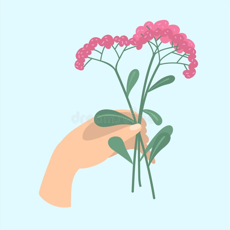 Cartoon Female Hand Holding Flower Vector Ilustration Stock Vector ...