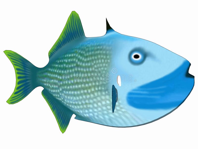 Stonefish Illustration, Drawing, Engraving, Ink, Line Art, Vector Stock ...