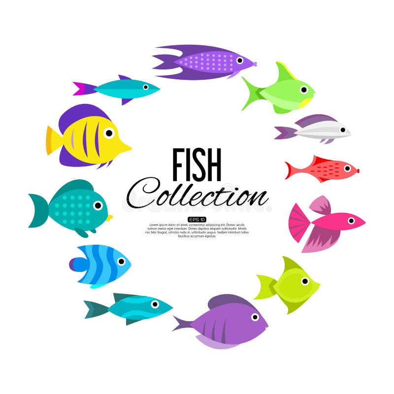 Art Fish Collection, Sketch for Your Design Stock Vector - Illustration ...