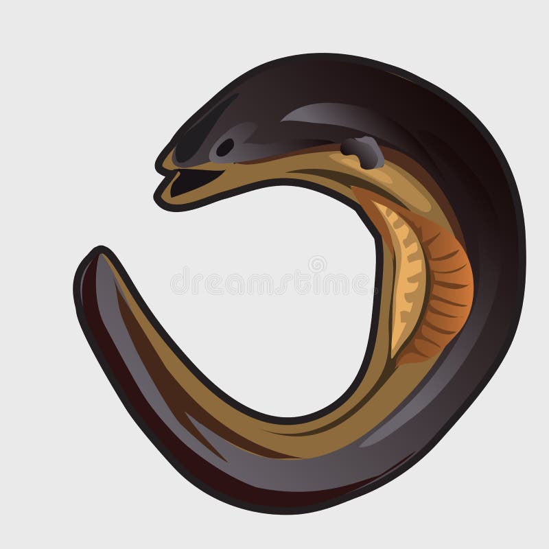 Cartoon Fish European Eel. Vector Illustration Stock Vector ...