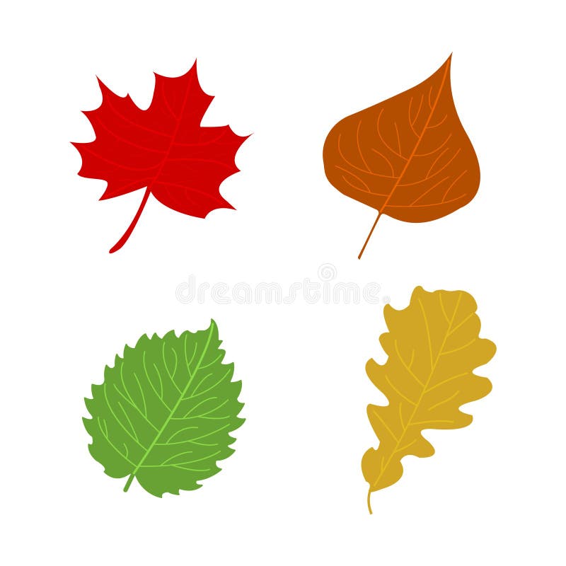 Cartoon Flat Autumn Leaves on White Background. Vector Illustration ...