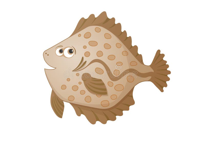 Cartoon Flatfish Illustration Stock Vector - Illustration of gourmet ...