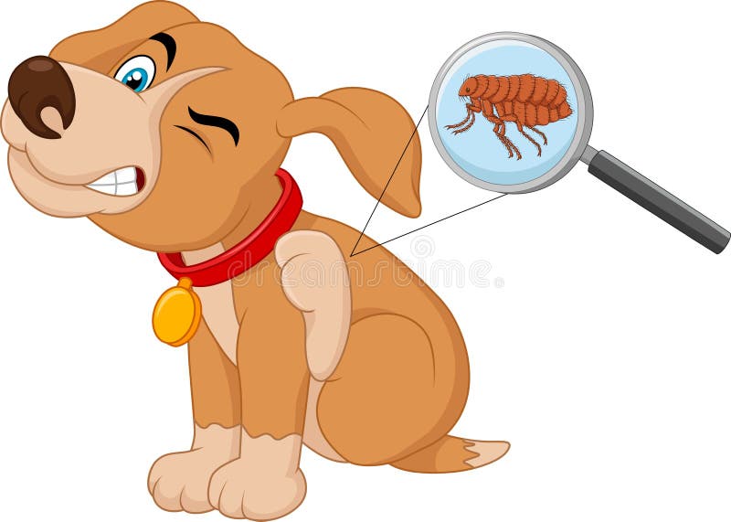 Cartoon Flea Stock Illustrations – 3,061 Cartoon Flea Stock ...