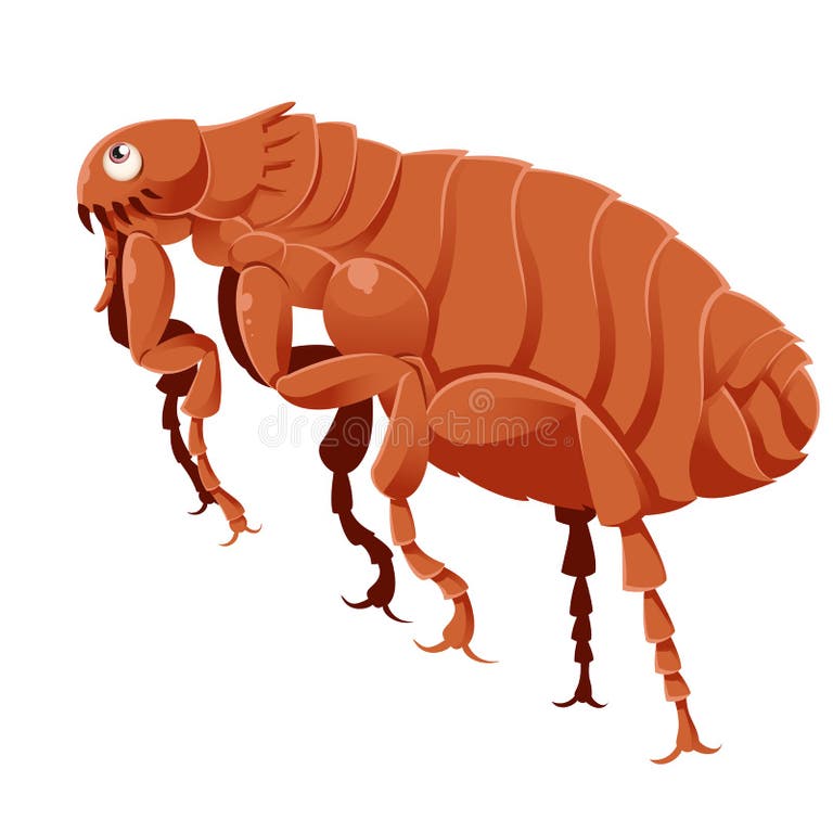 Cartoon Flea Stock Illustrations – 3,016 Cartoon Flea Stock ...