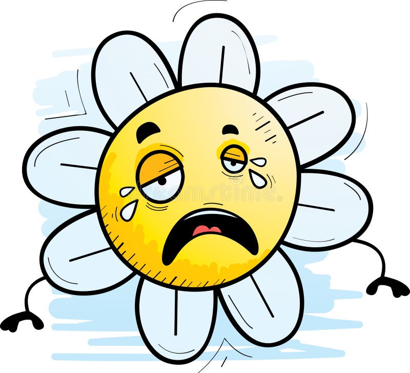 Crying Daisy Flower Mascot Cartoon Stock Vector - Illustration of bawl ...