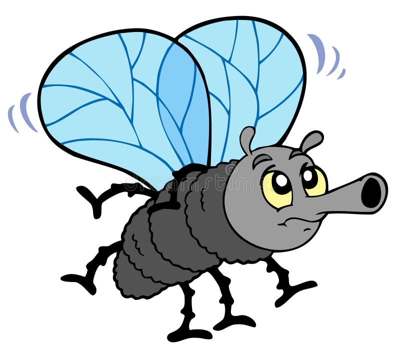 1,900+ Cartoon fly Free Stock Photos - StockFreeImages