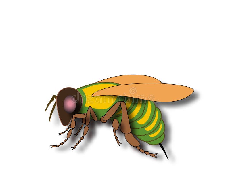 Cartoon Fly, Insect with Bright Colors. Housefly Volume Stock ...