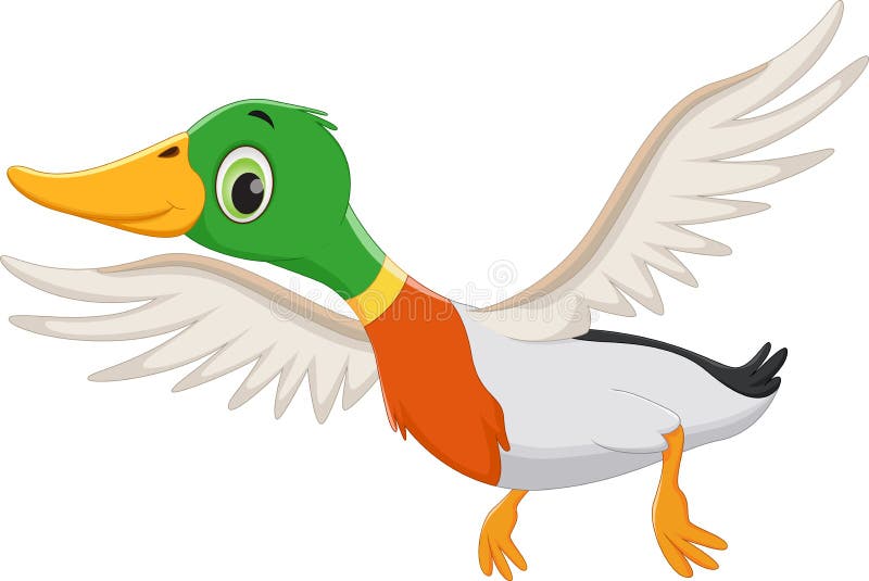 Cartoon flying duck stock vector. Illustration of pointing - 72178597