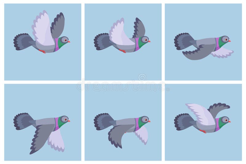 Cartoon Flying Pigeon Animation Sprite Stock Vector - Illustration of ...
