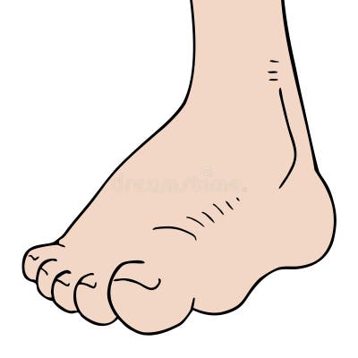 Cartoon Foot Stock Illustrations – 63,859 Cartoon Foot Stock ...