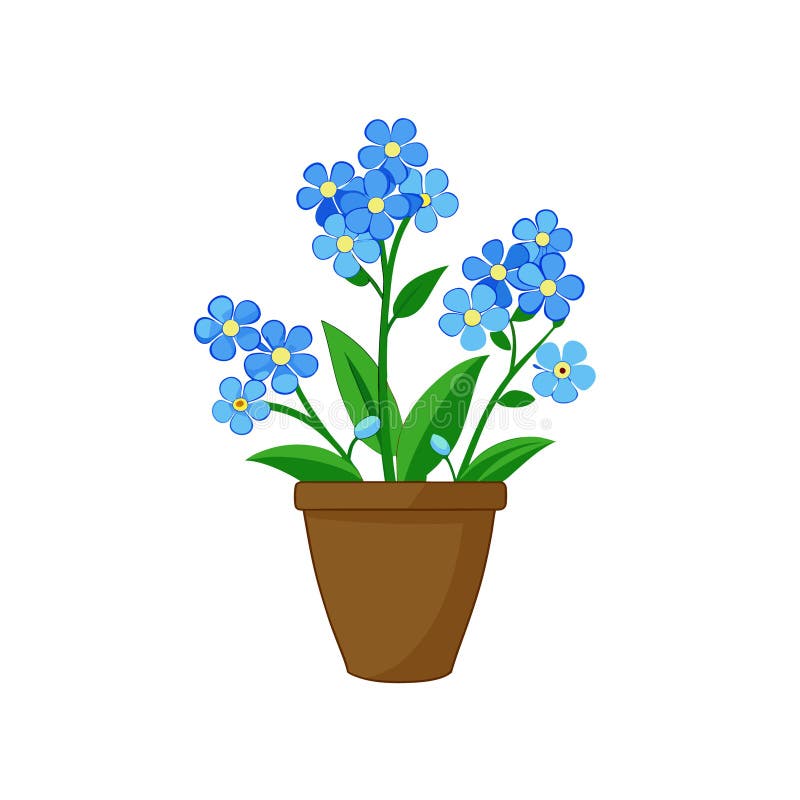 Cartoon Forget-me-nots in a Pot Stock Photo - Illustration of element ...