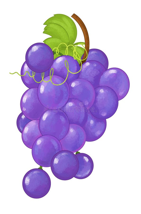 Fruit, Grapes Icon on White Background. Vector Illustration Stock ...
