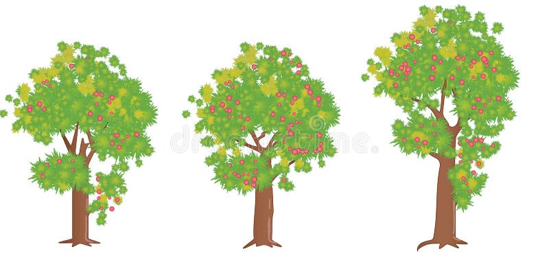 Cartoon fruit trees. stock vector. Illustration of design - 217181926