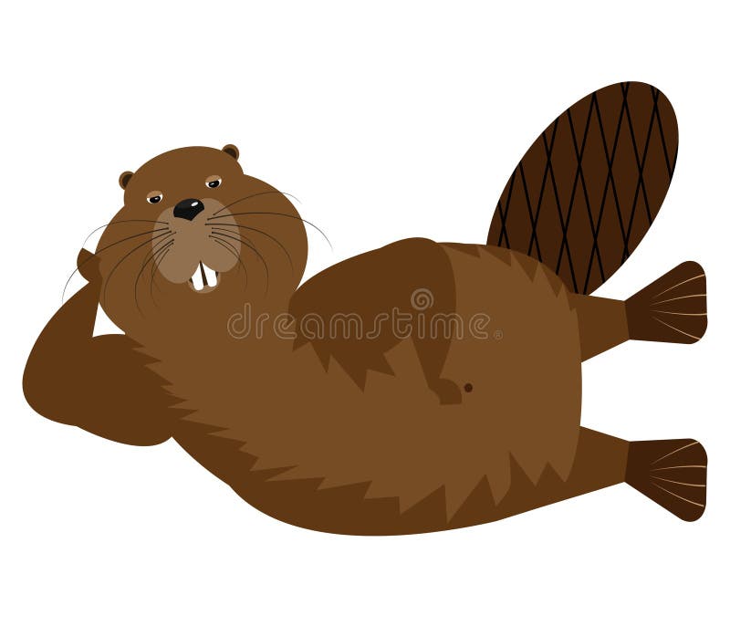 Cartoon Fun Character Beaver Isolated Stock Vector - Illustration of ...