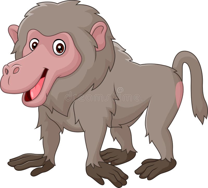 Baboon stock vector. Illustration of monkey, animal, drawing - 19061600